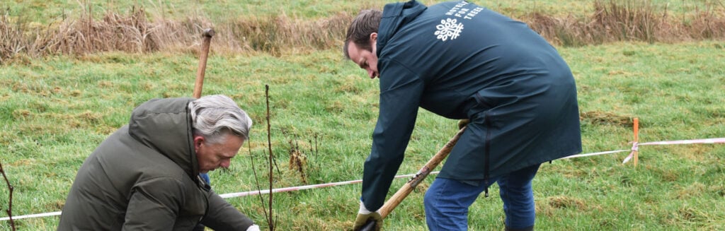 Extension of partnership between Blycolin and Hotels for Trees ...